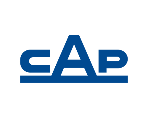 CAP S.A (Grupo CAP) – Guía Minera de Chile